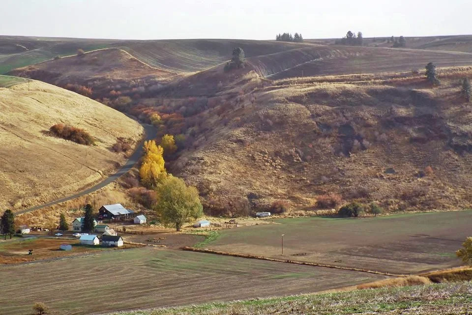 About Palouse Heritage | Regeneratively Grown Heritage Grains from ...