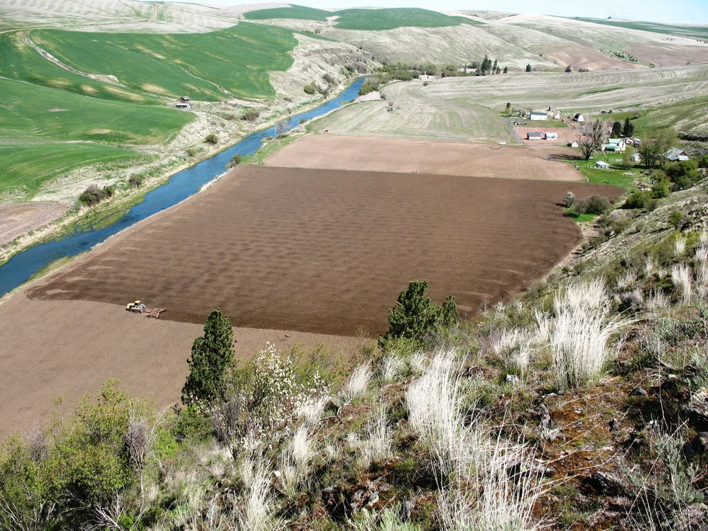About Palouse Heritage | Regeneratively Grown Heritage Grains from ...