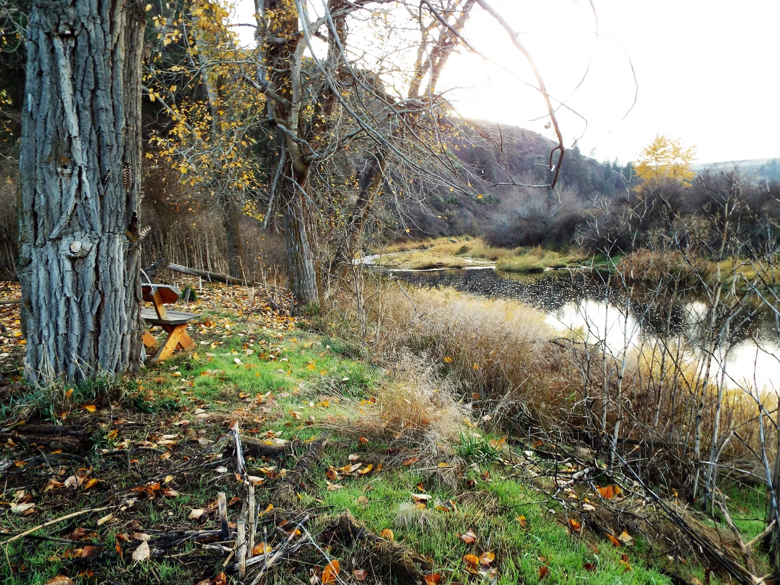 About Palouse Heritage | Regeneratively Grown Heritage Grains from ...