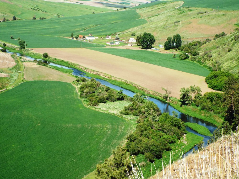 About Palouse Heritage | Regeneratively Grown Heritage Grains from ...