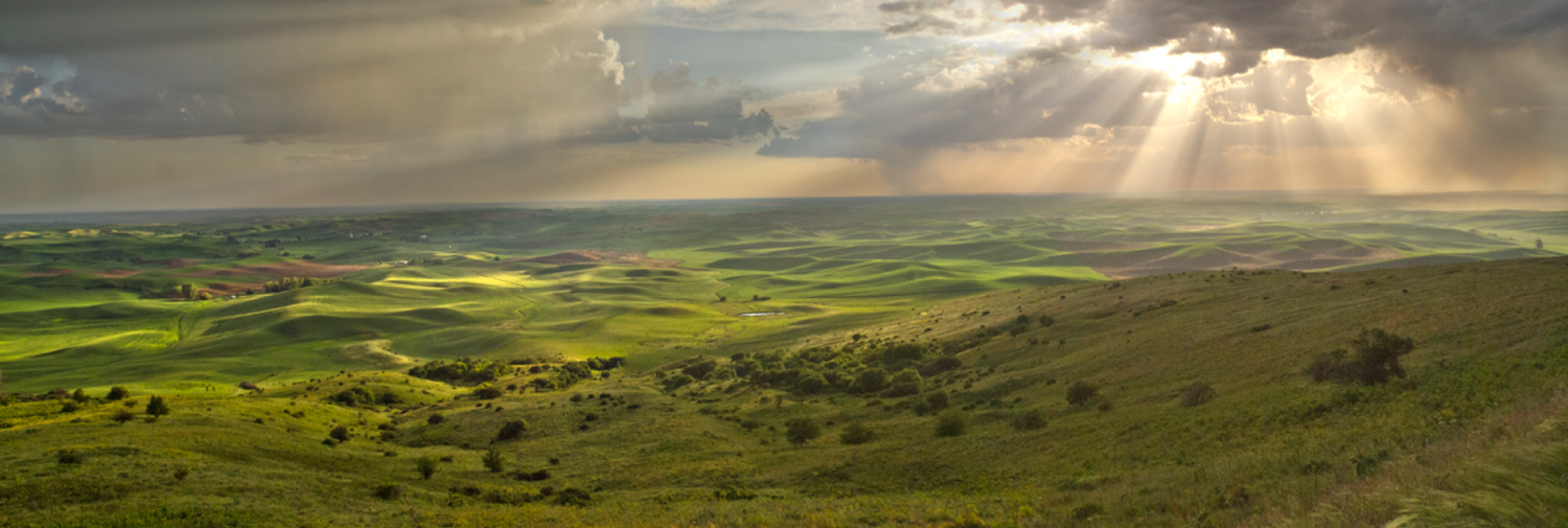 Palouse Greenfield