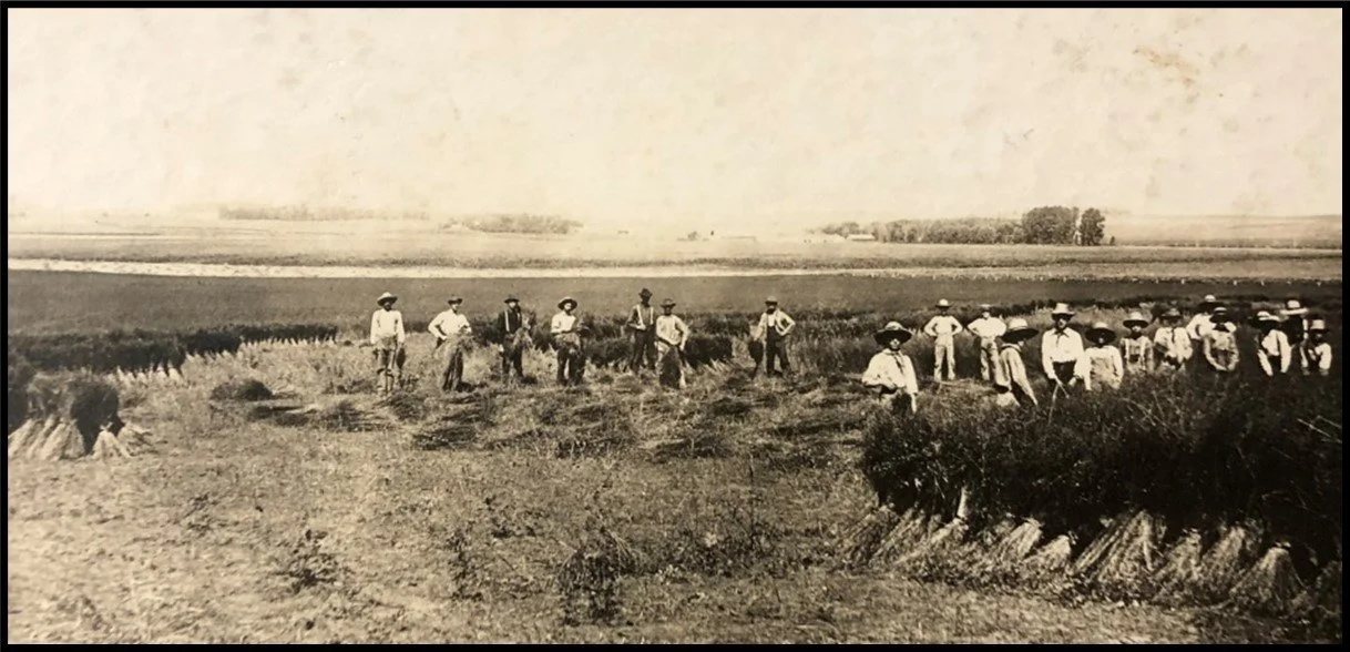 Of Hackles and Scutching— Old World Flax for New World Linen — Palouse ...