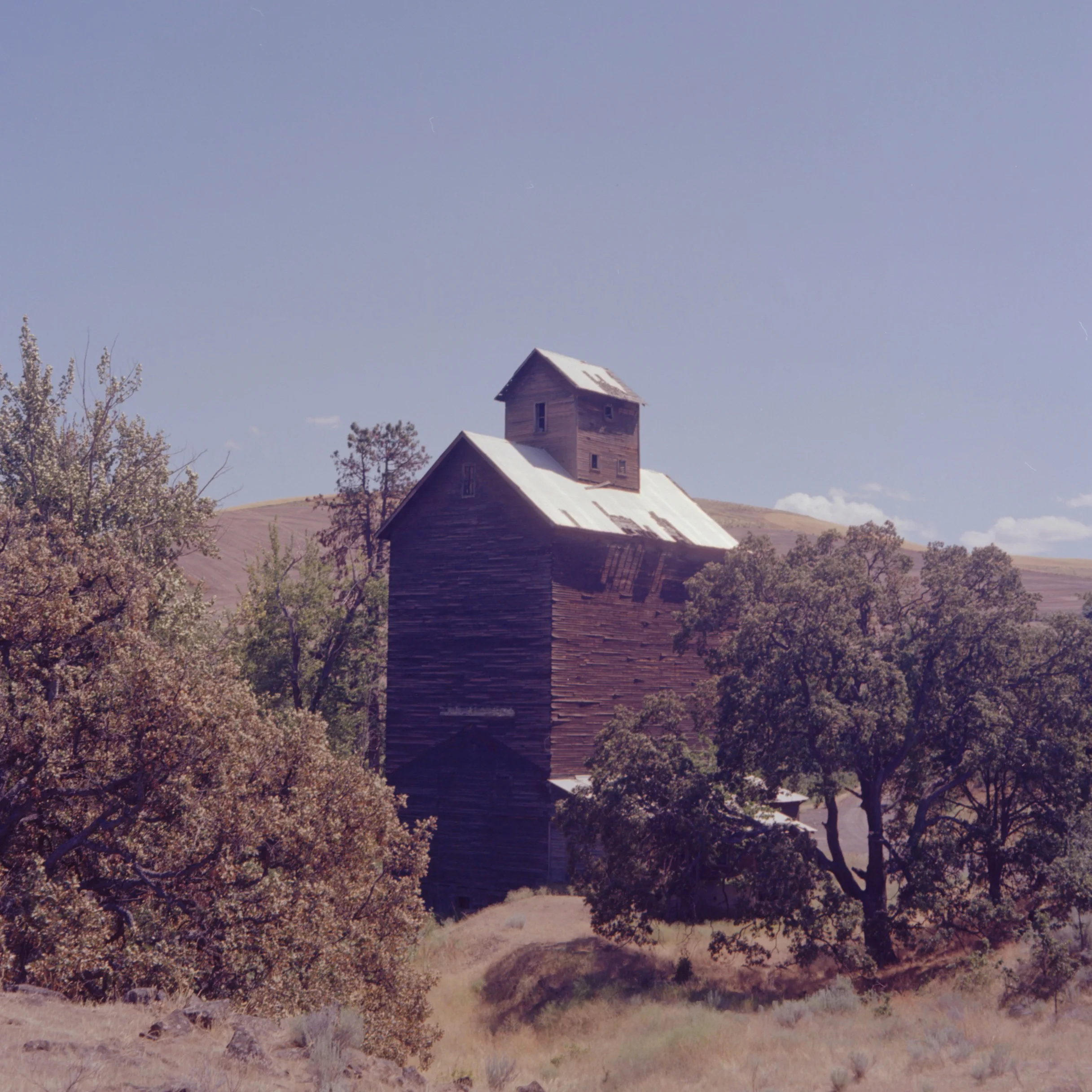 Katy Towell (Author of Skary Childrin and the Carousel of Sorrow)