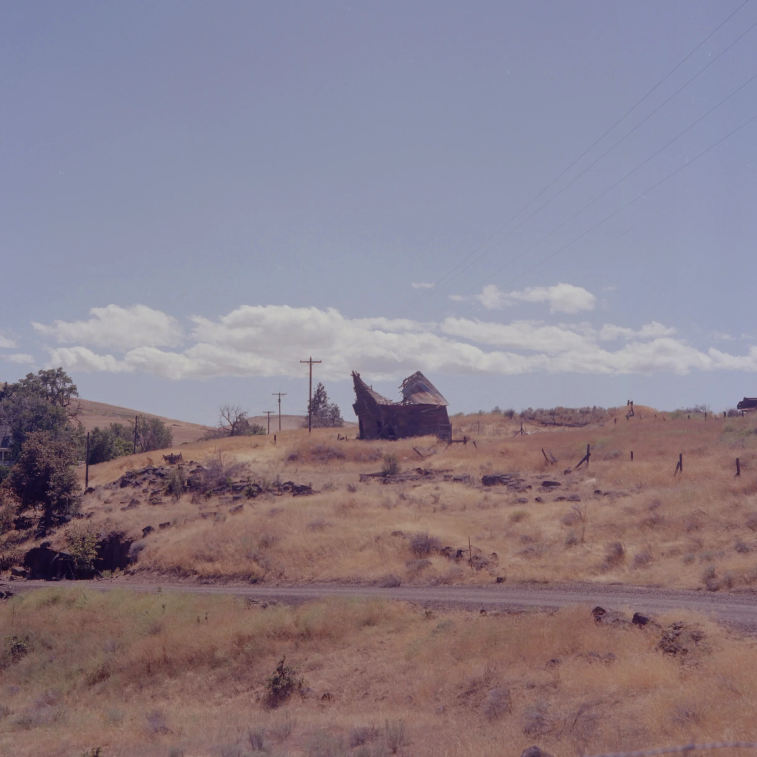 Katy Towell (Author of Skary Childrin and the Carousel of Sorrow)