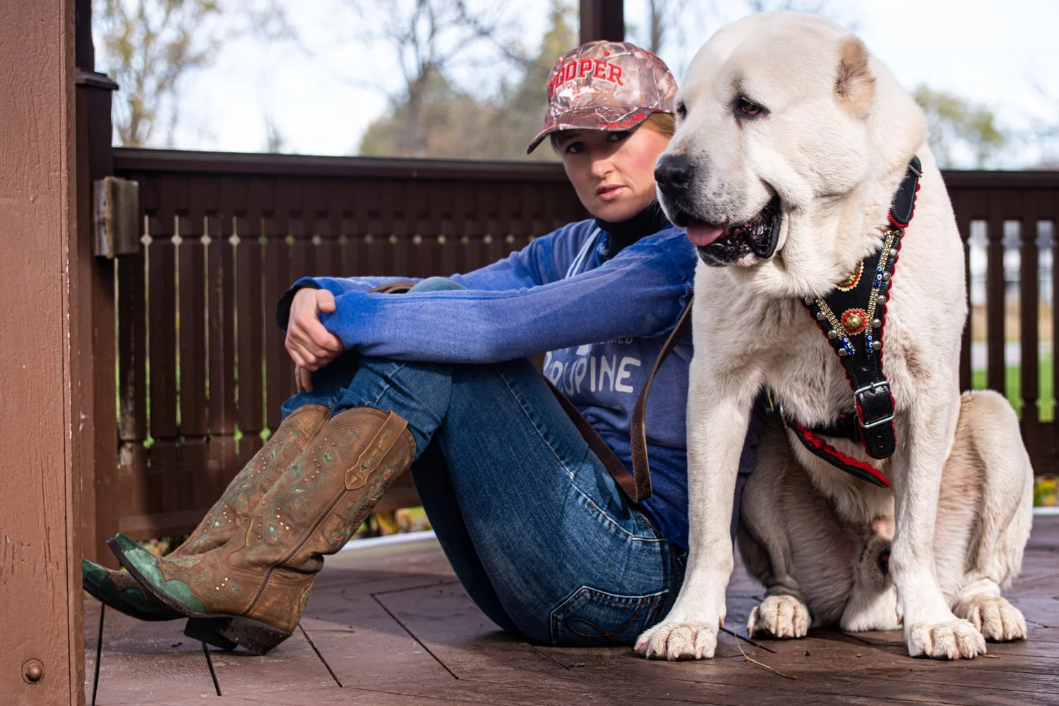 Central Asian Shepherd Puppies for Sale | Central Asian Shepherd Dog ...