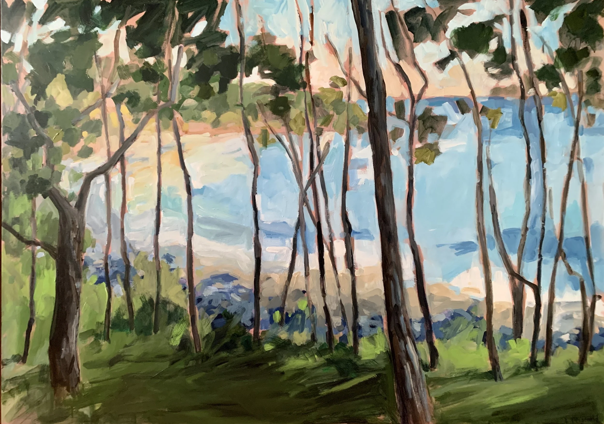 Sold works - Liz Fitzgerald — Liz Fitzgerald