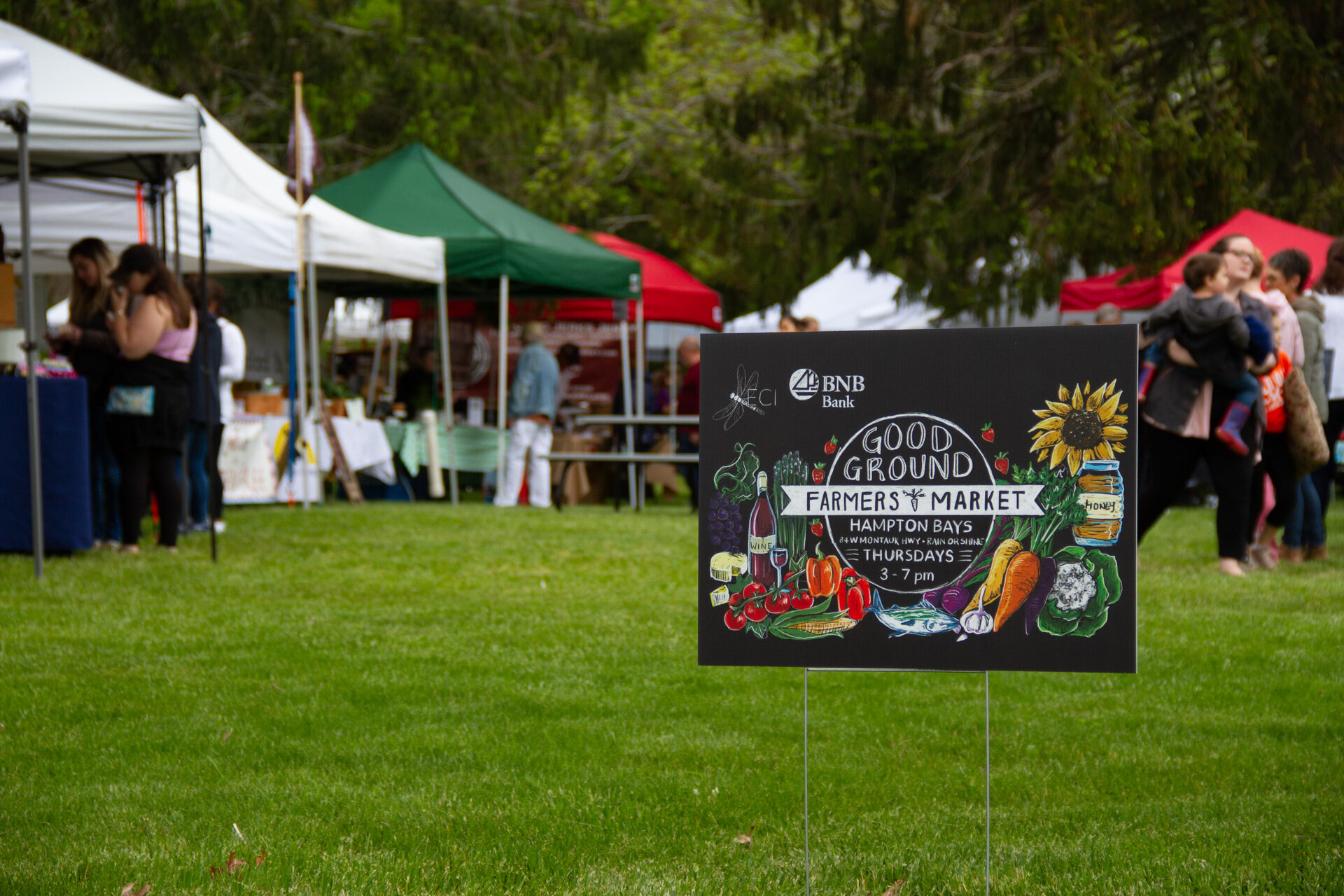 ECI - Ecological Culture Initiative