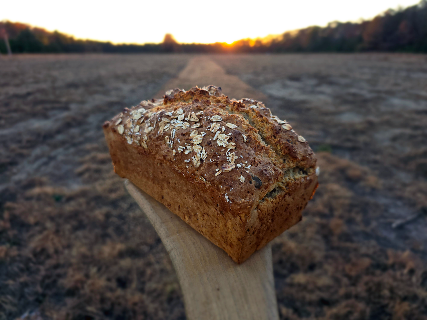 Timberline Farms | Flowers, Donuts, Eggs, Soap