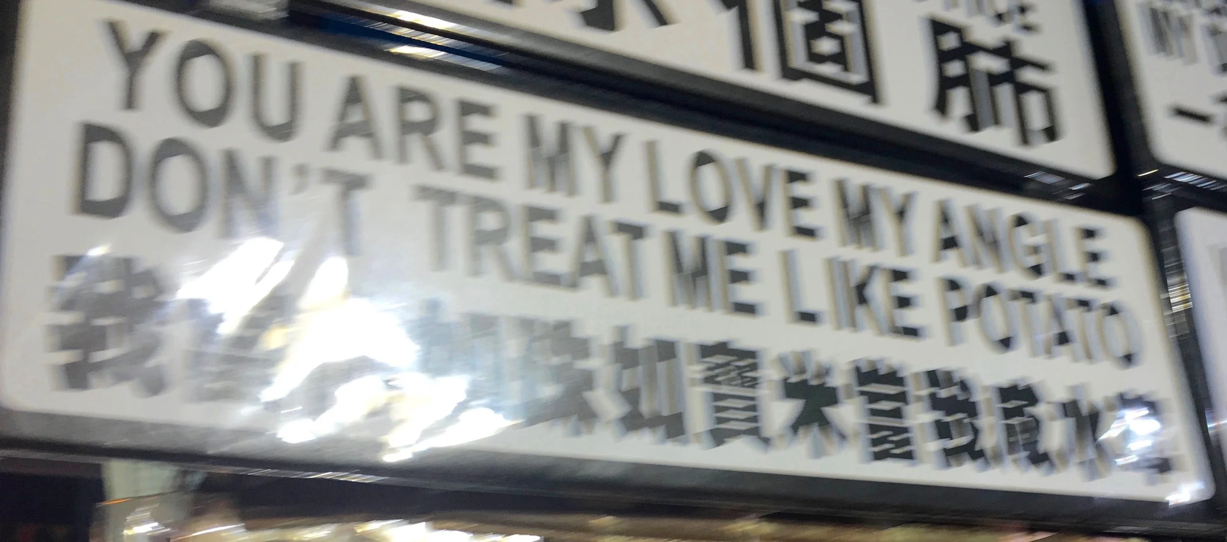 Funny Signs in China — Rona.