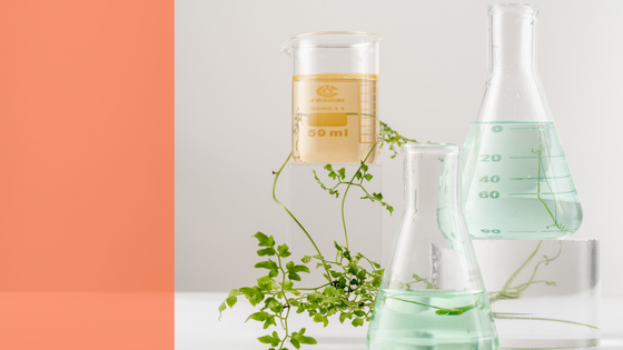 How to Study for the ACT Science Section — IVY Lounge Test Prep