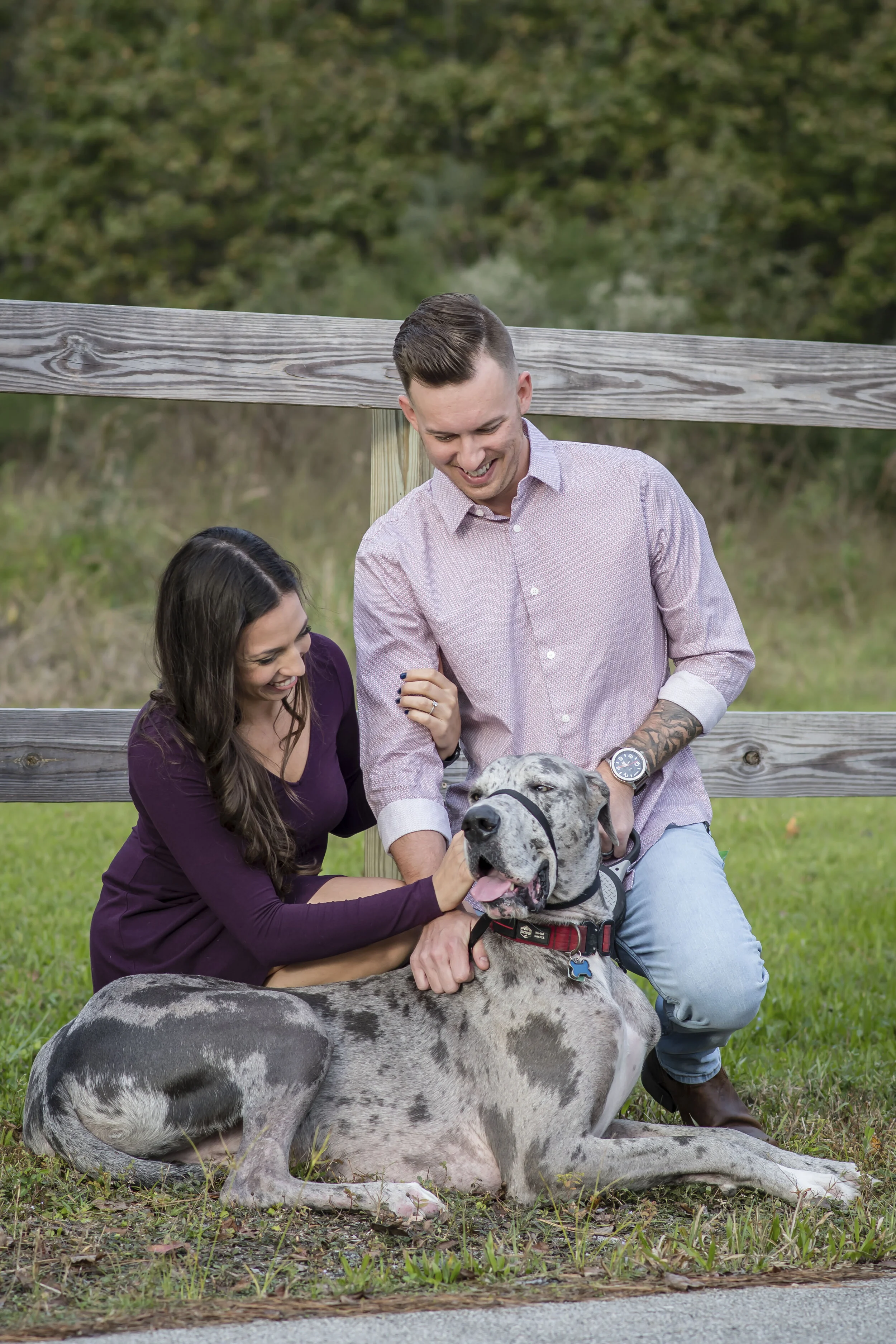 How to Have Great Family Photos with Dogs | Yanitza Ninett