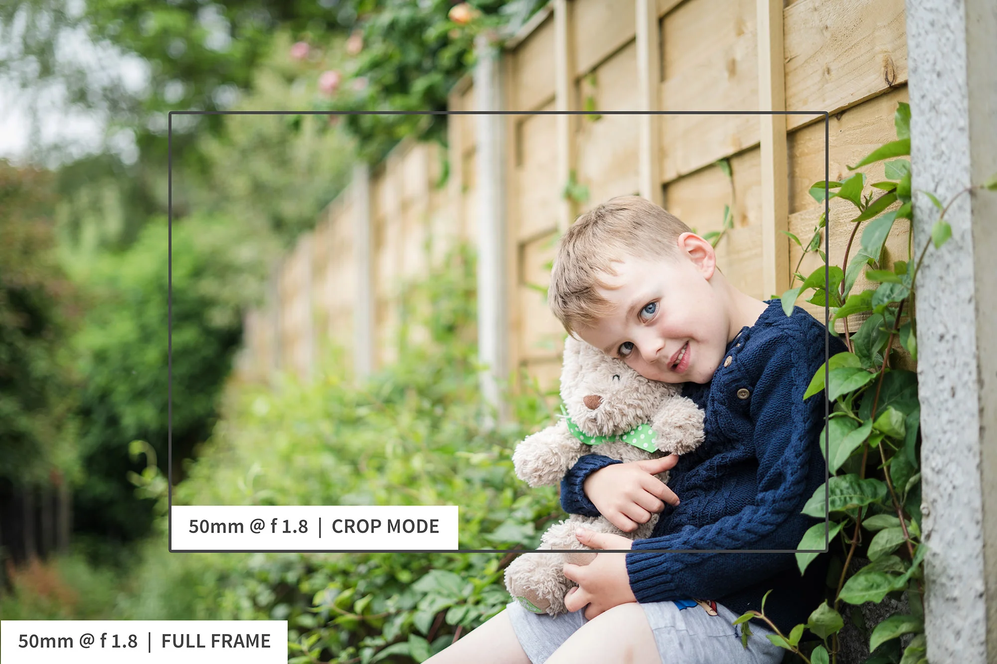 Sony Crop Mode - does this mean I need fewer lenses?