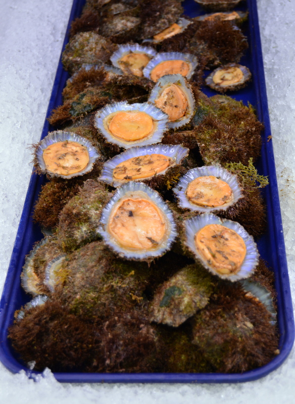 Chaves Market Fresh Fish — Chaves Market