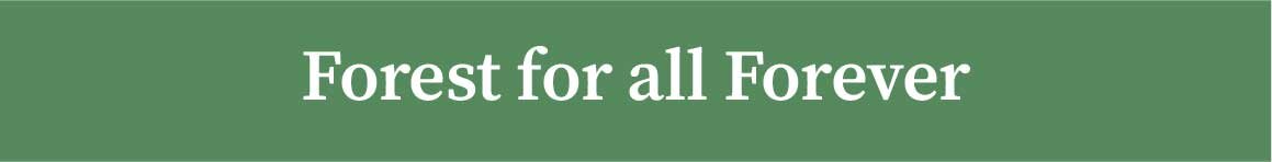 Top 28 Ethical and Sustainable Labels you should know about