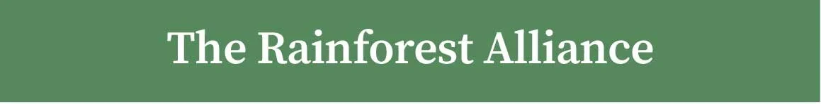 Top 28 Ethical and Sustainable Labels you should know about