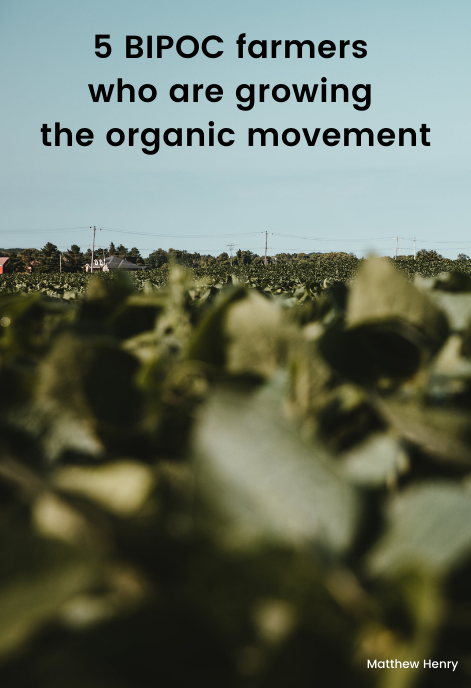 5 BIPOC farmers who are growing the organic movement