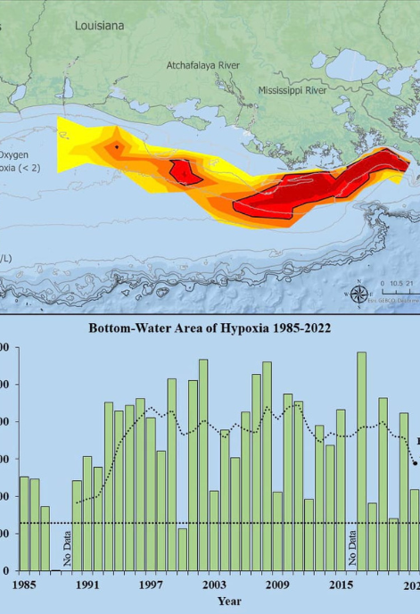 What Are Dead Zones?