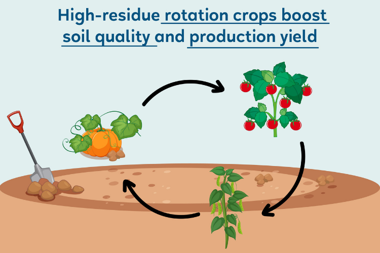 Soil Health and Land Management- One of the three pillars of ROC