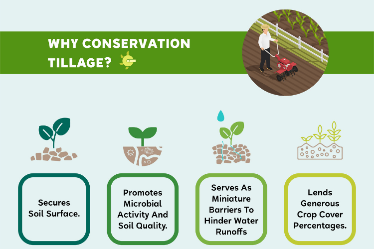 Types Of Soil Conservation