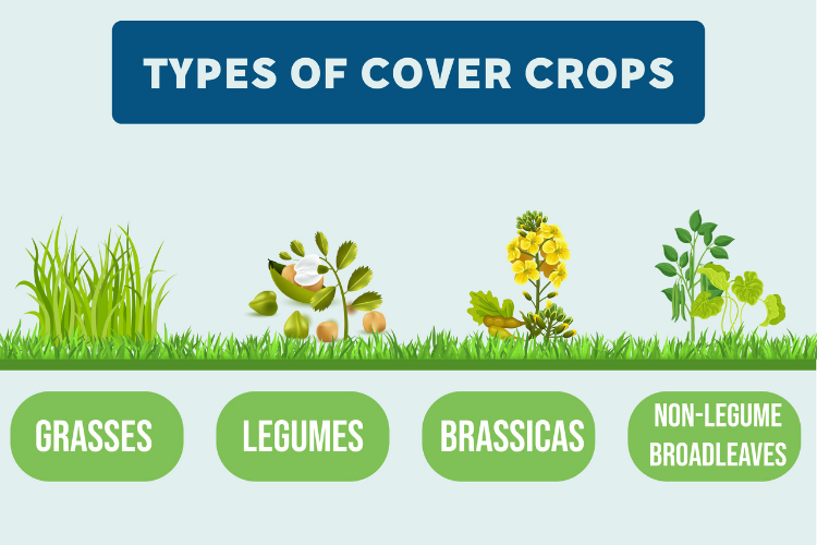 Soil Health and Land Management- One of the three pillars of ROC