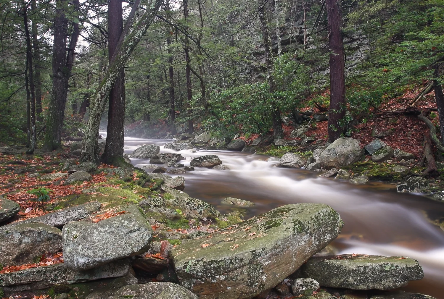 Larry Chapman Photography