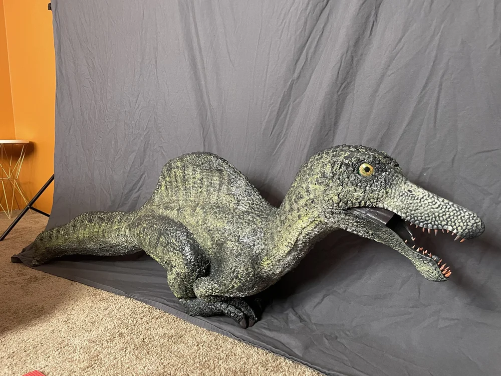 Baby Spinosaurus