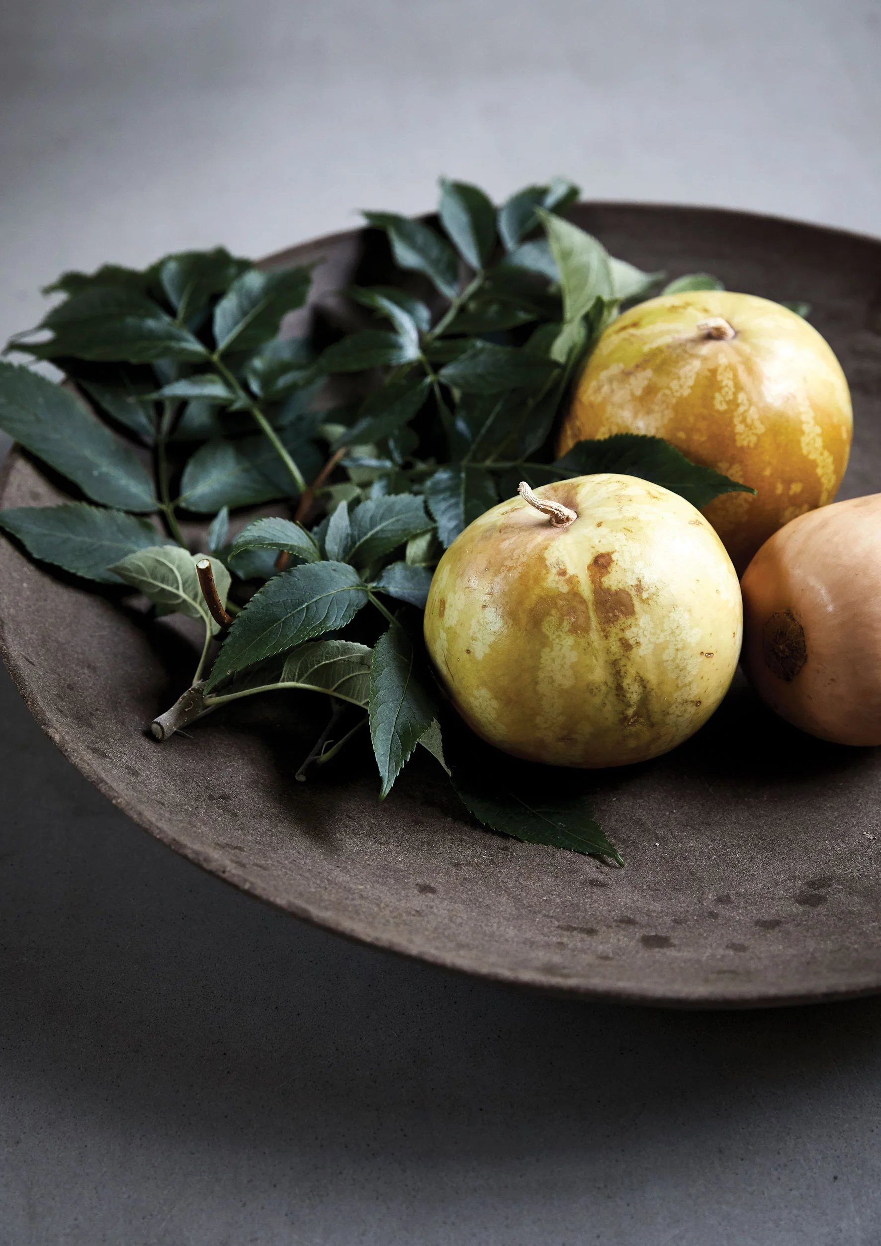 Velvet Underground — Abode Magazine