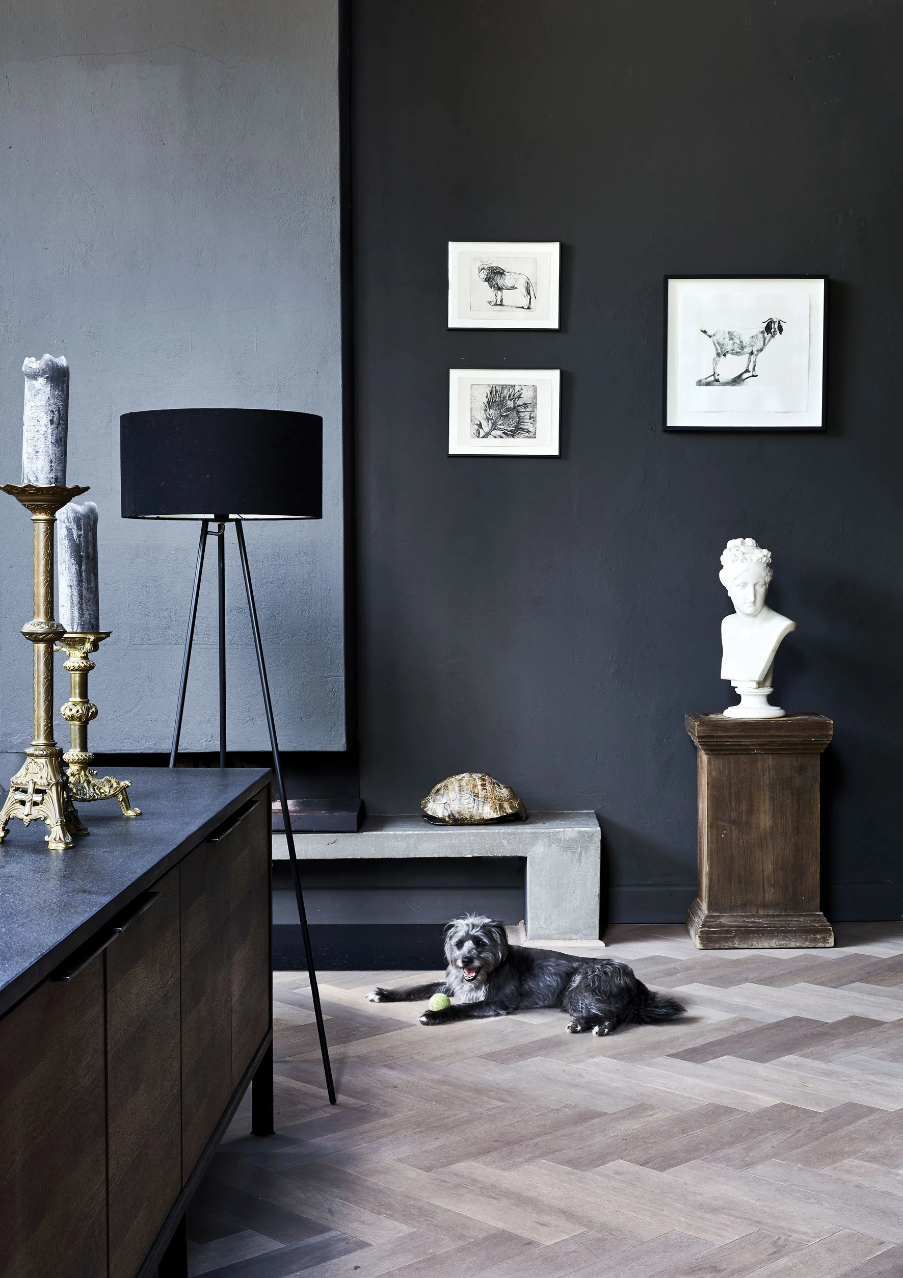 Velvet Underground — Abode Magazine