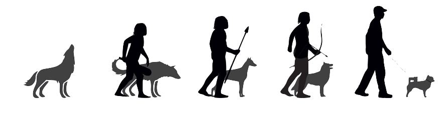Evolution Of Dog Timeline