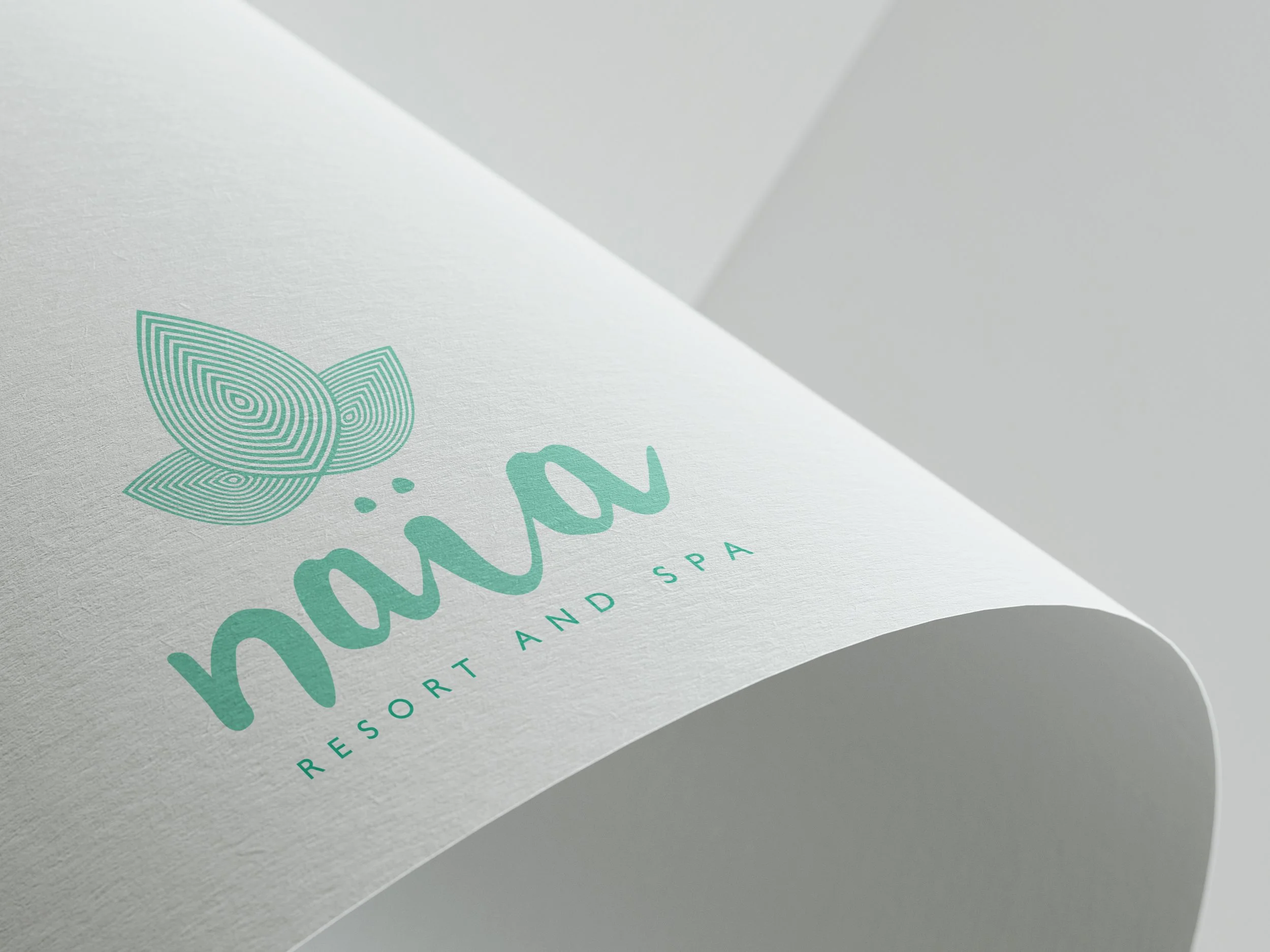 GRAPHIC DESIGN — McNab Visual Strategies