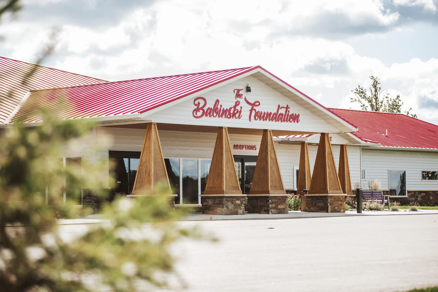 Foundation — The Babinski Foundation