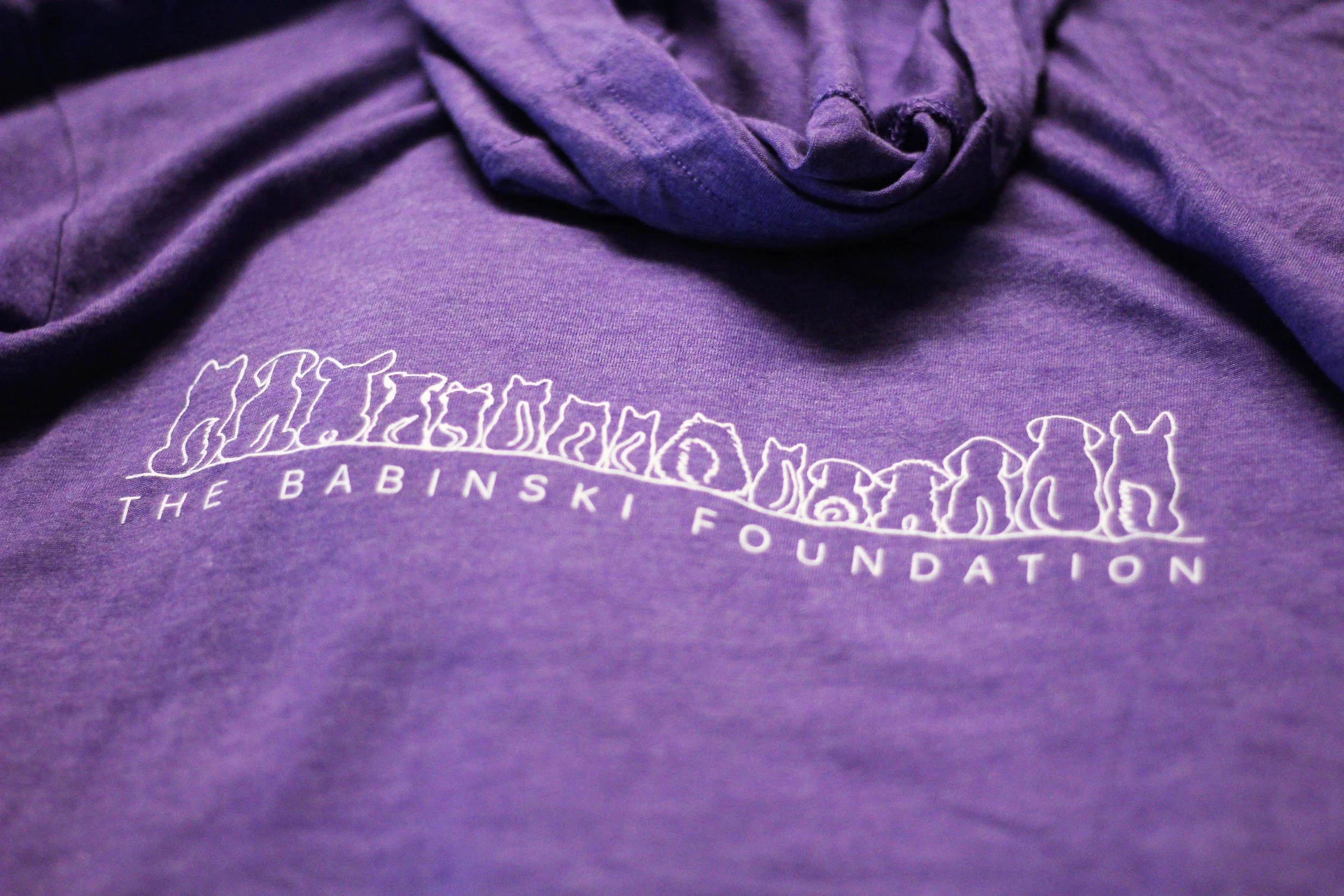 Store — The Babinski Foundation