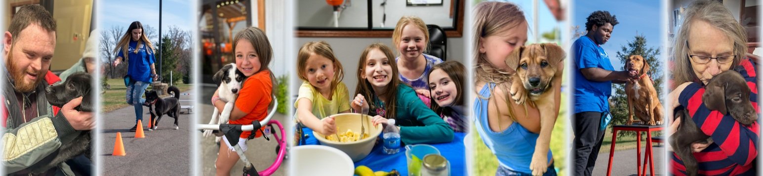 Community Education — The Babinski Foundation