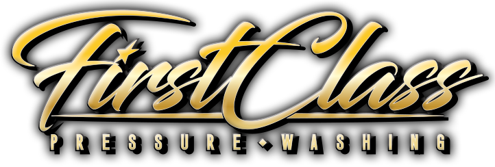 First Class Logo First Class Lifestylez