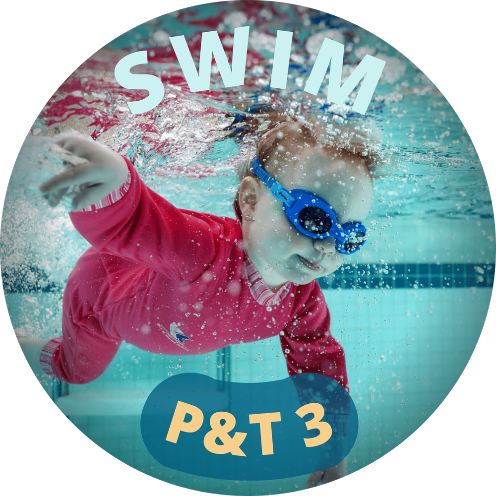 K & K Swim School | Private Swimming Lessons -Our Curriculum