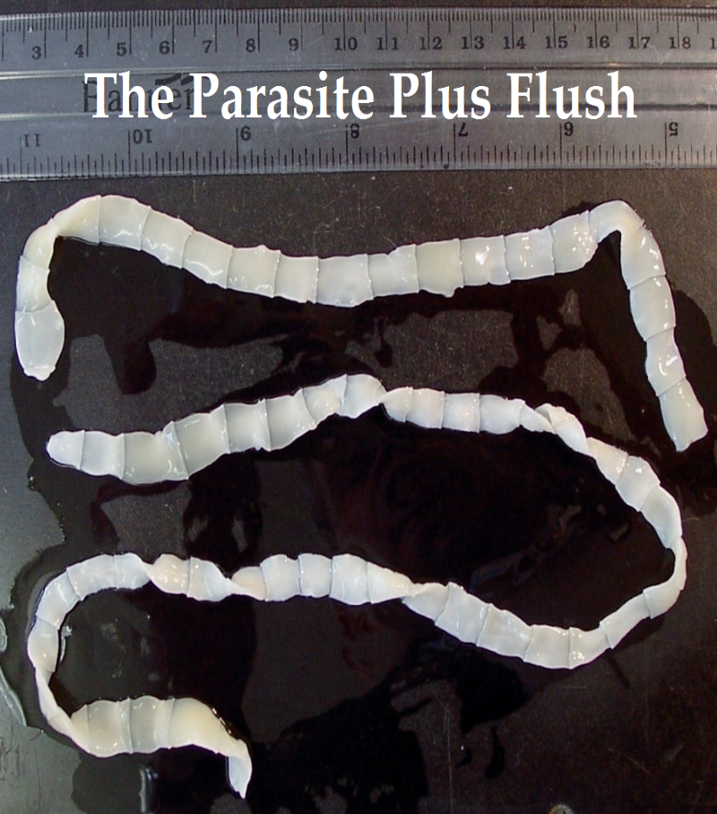 Parasite Plus Flush — Heal Your Disease