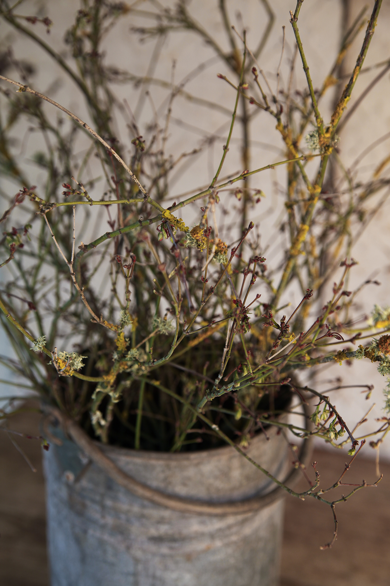 Adelaide wedding florist