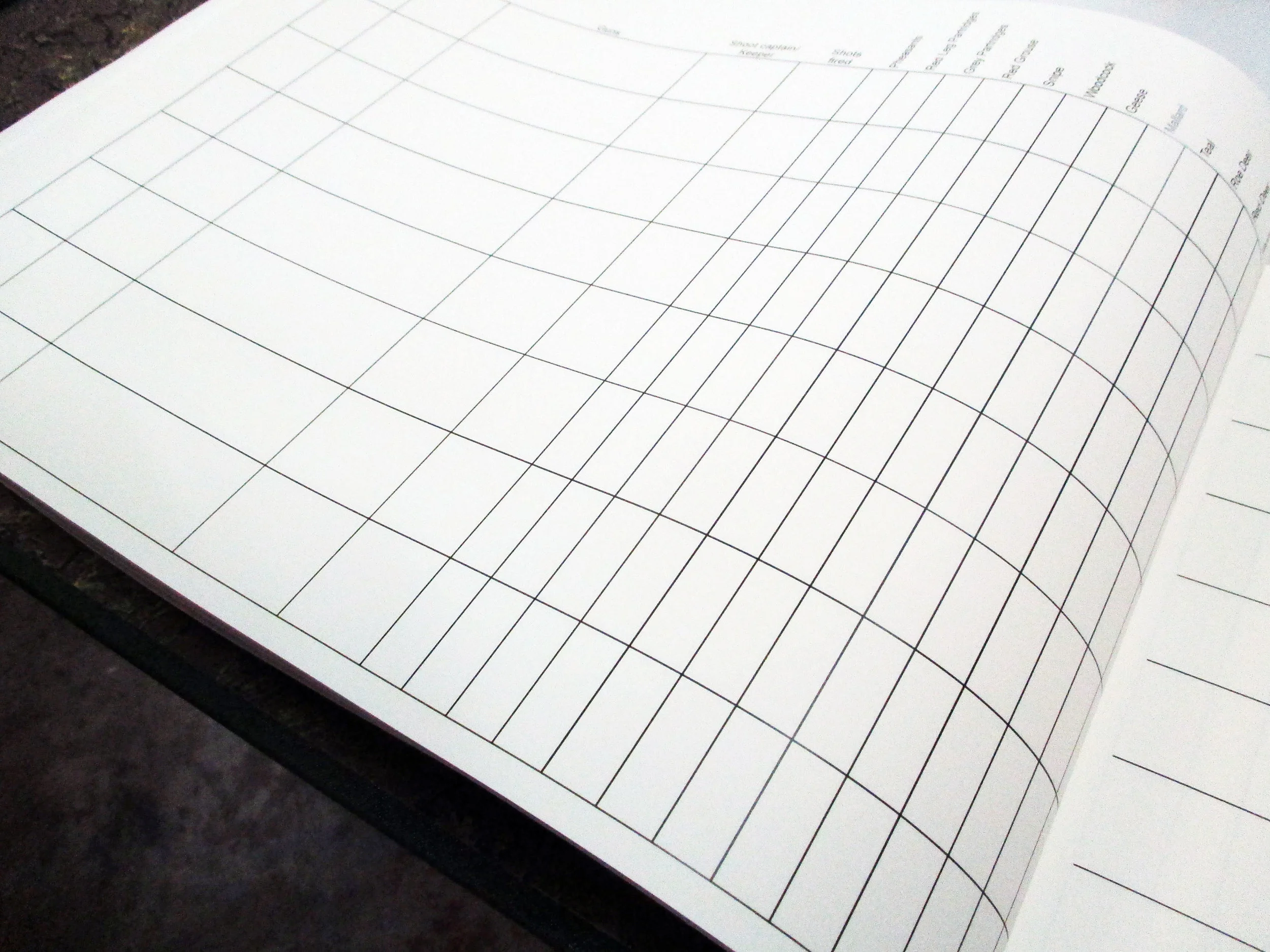 Visitors Books — Downie Allison Downie Bookbinders
