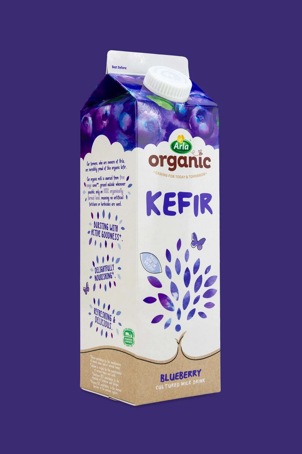 Food Packaging | Pillbox Design | Graphic & Structural Packaging Design