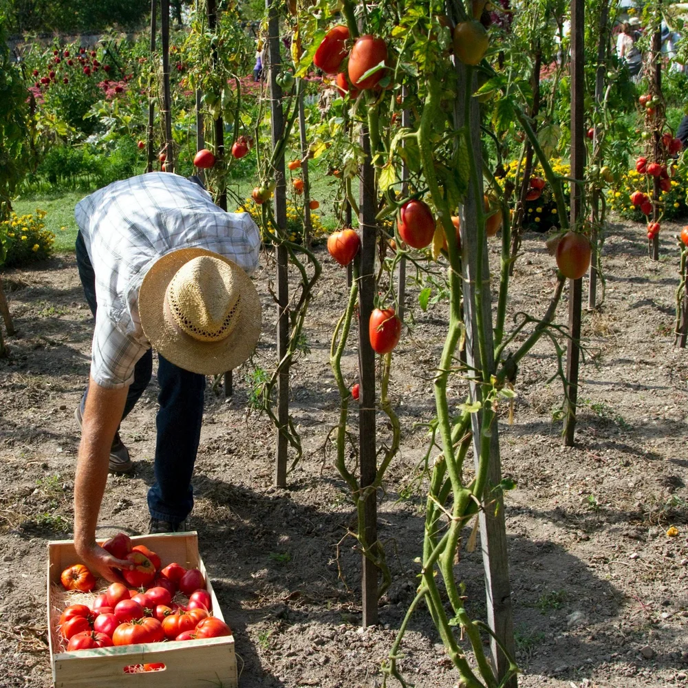 FarmArt