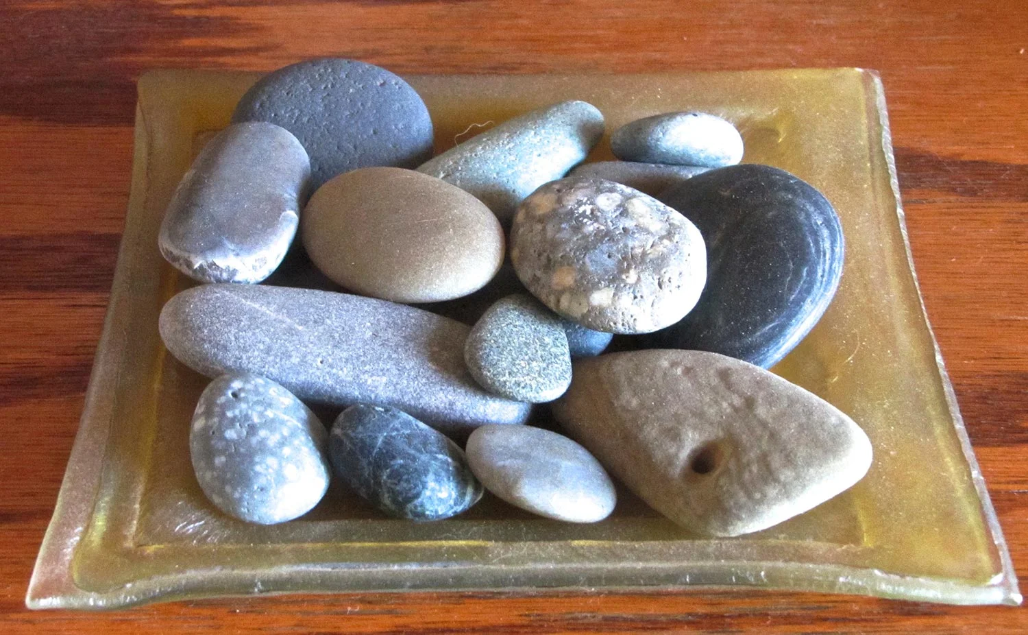 Let Me Tell You a Story of Stones and Shells and Seed Pods... — Roxanne ...