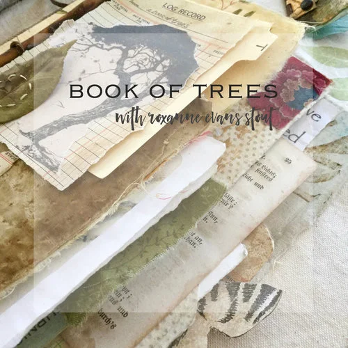 Online Workshops — Roxanne Evans Stout
