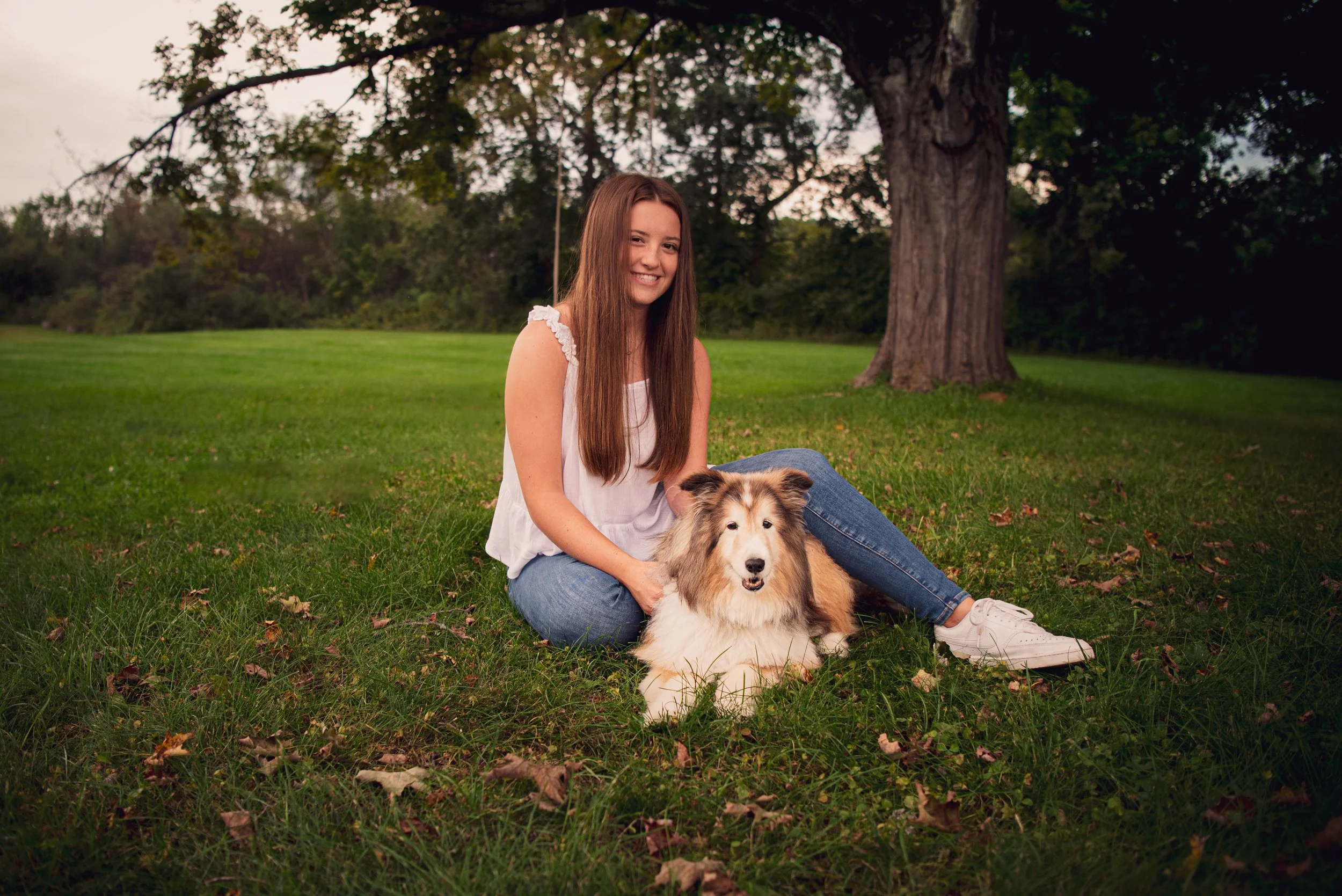 pet portraits — Angela Sheehan Design & Photography