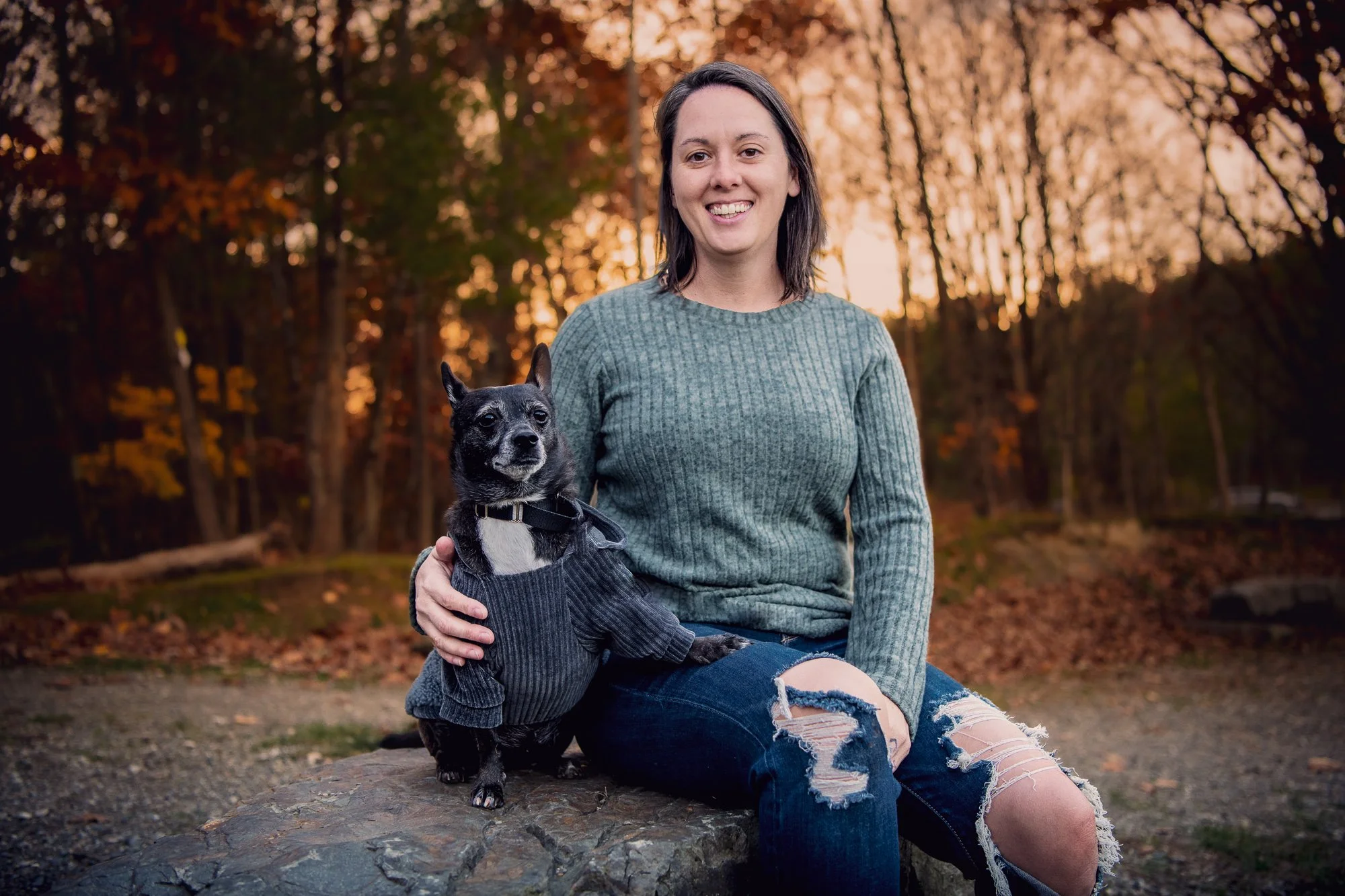 pet portraits — Angela Sheehan Design & Photography