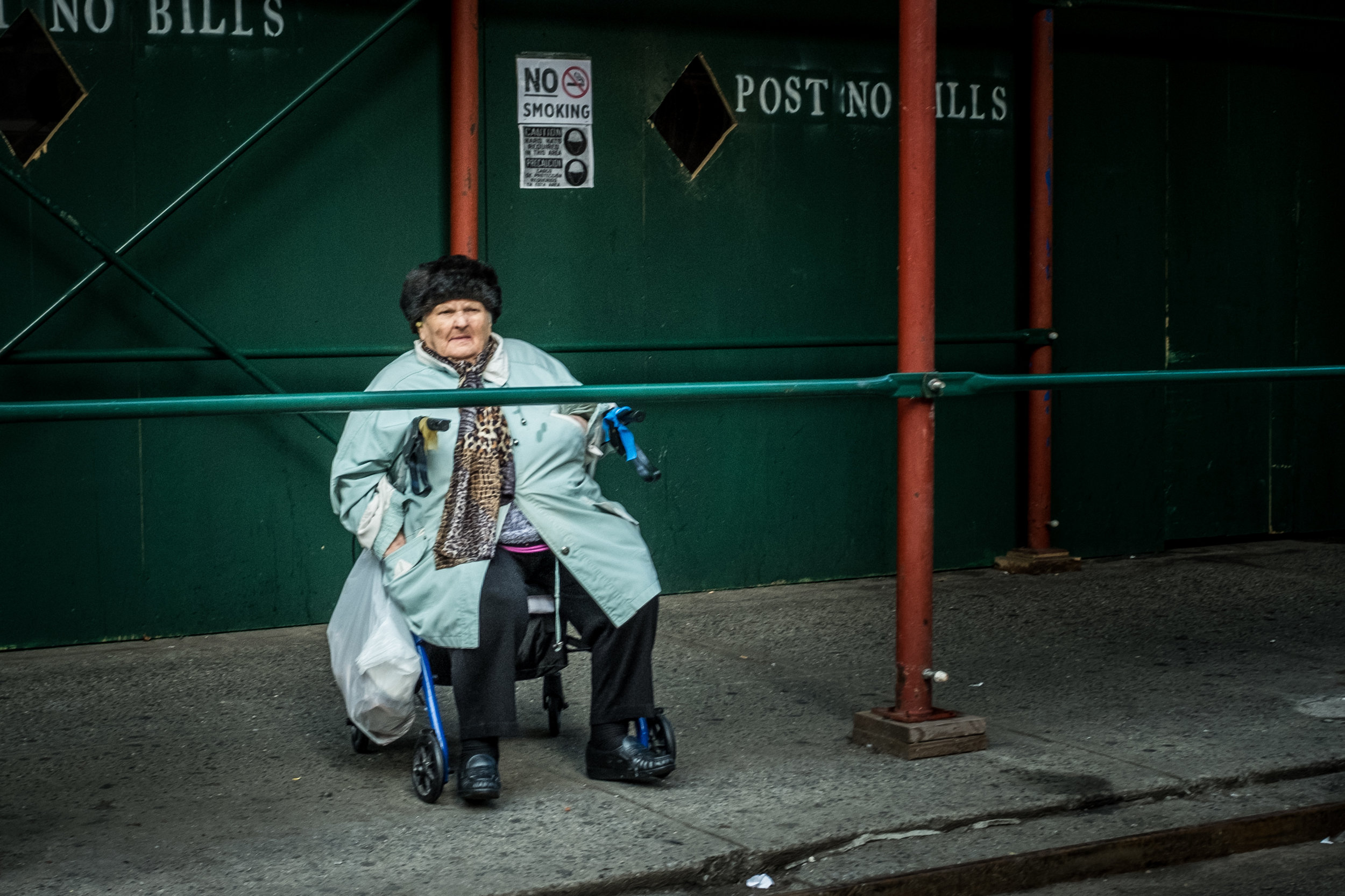 Beautiful Strangers — STREETFAUNA