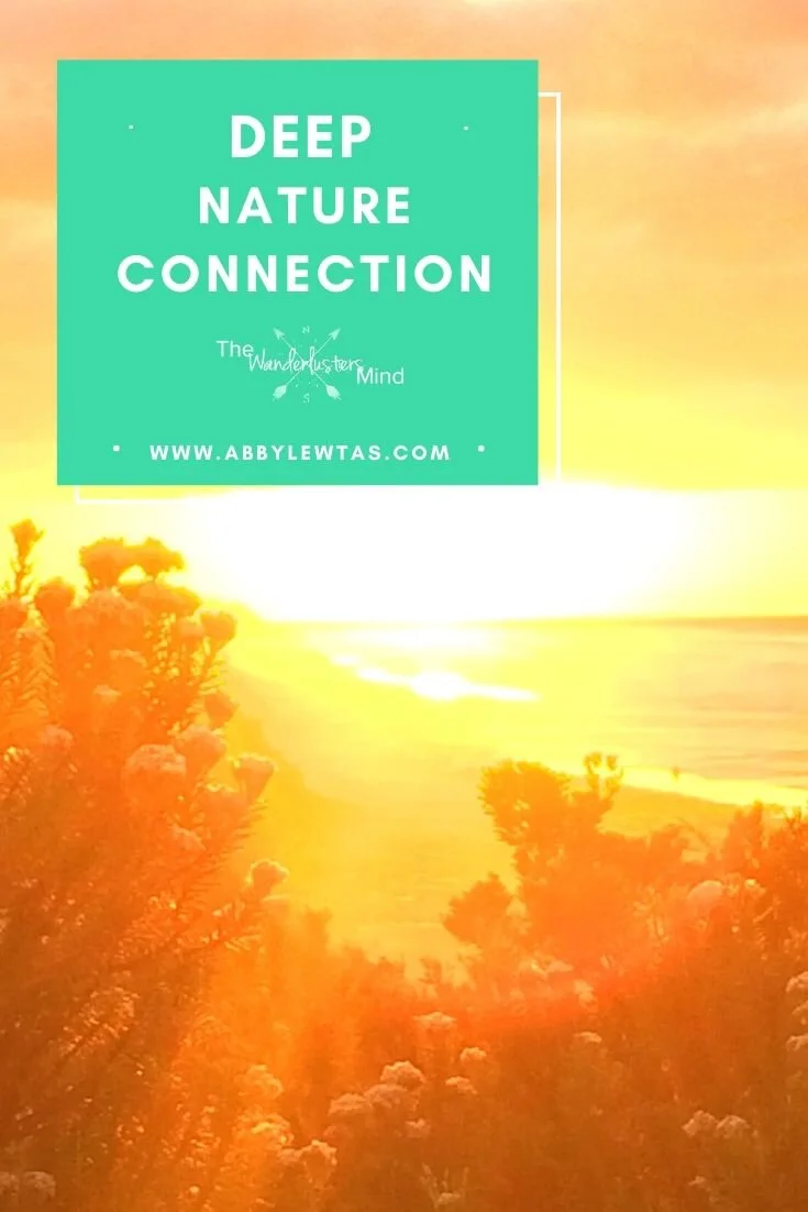 What deep nature connection can teach you. — Abby Lewtas