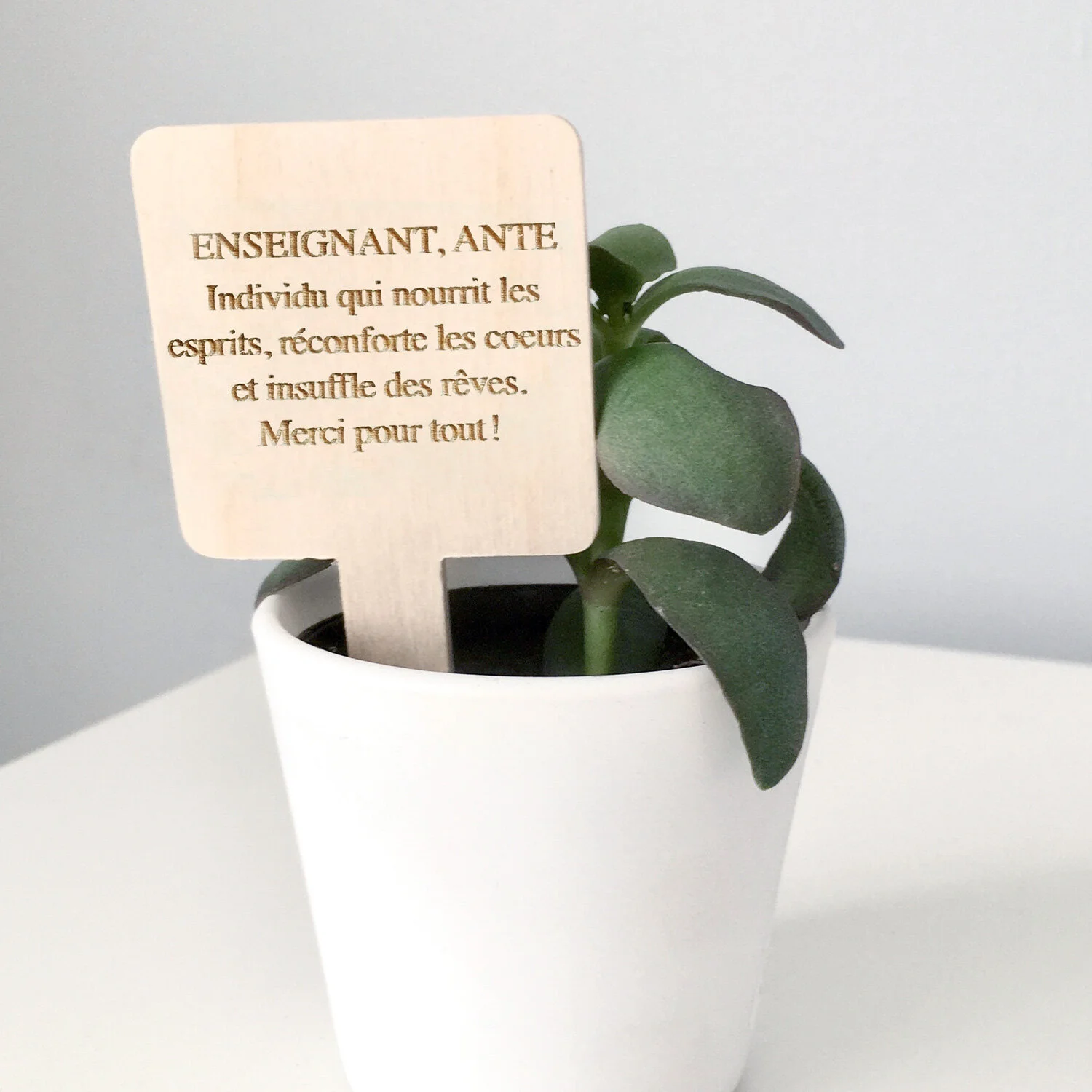 Objets décoratifs faits au Québec — Abricotine