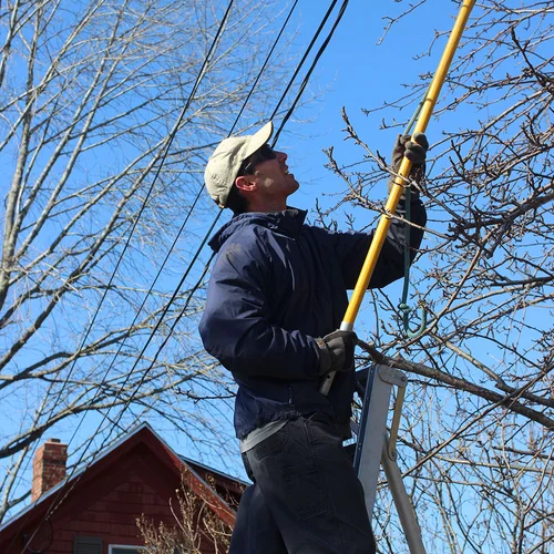 Fagan Tree Service