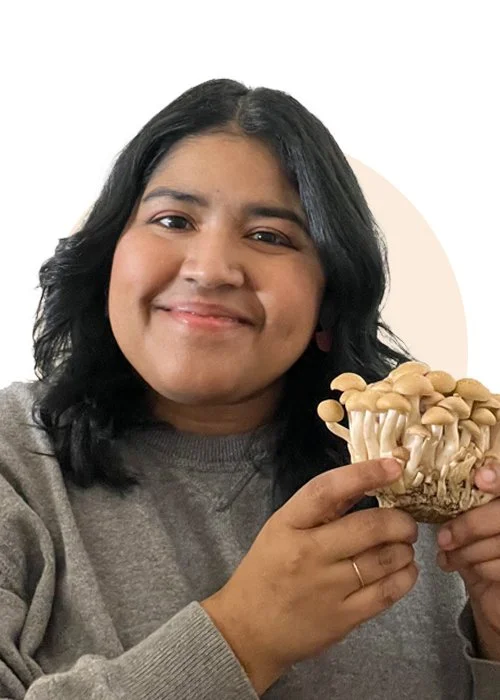 Sunrise Nutrition - Nutrition Counseling & Mental Health Therapy in ...