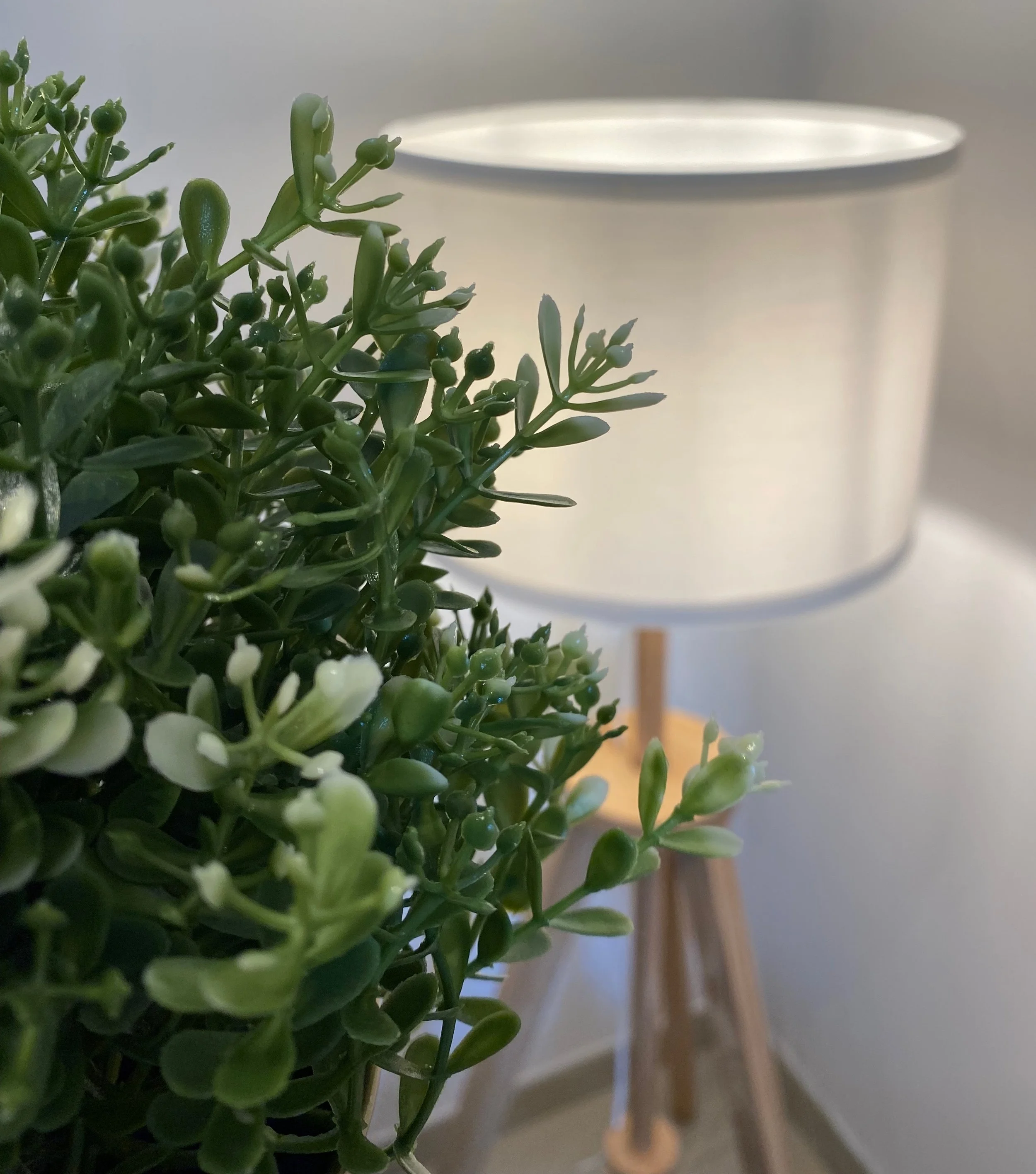 Talking Therapy Place - Therapy Services in Malta
